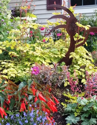 ASTILBES FOR SUN AND SHADE - Perennially Yours