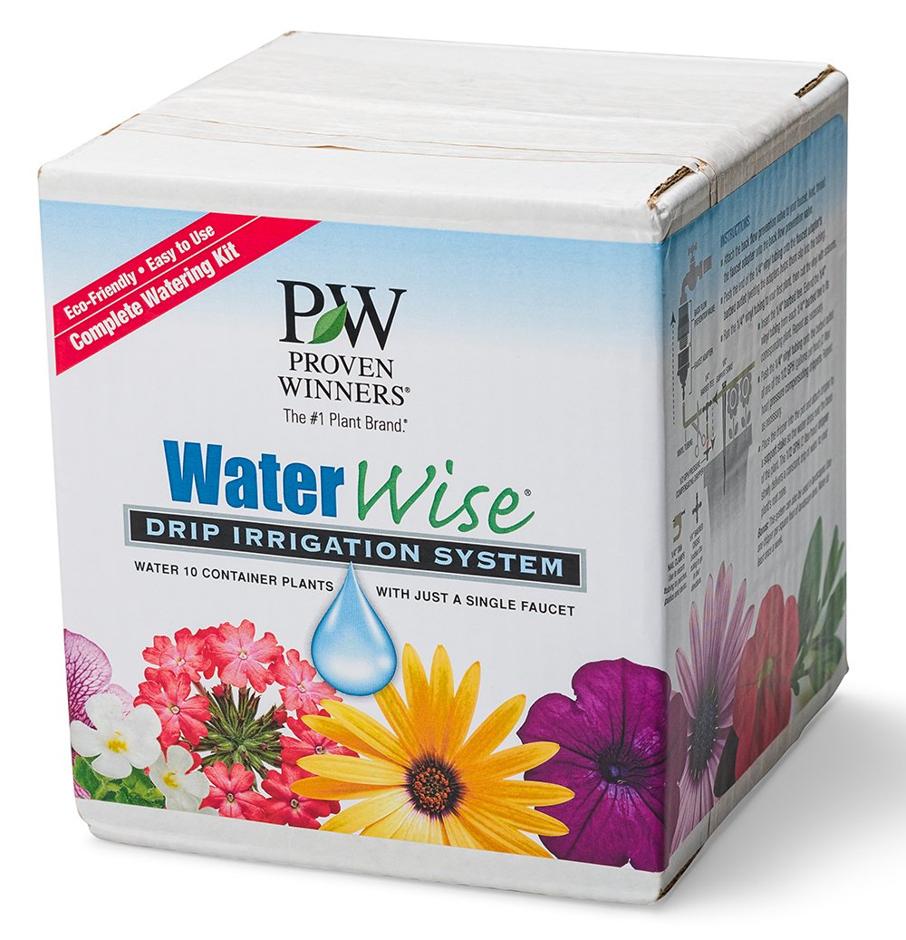 Watering Containers Made EASY - Perennially Yours